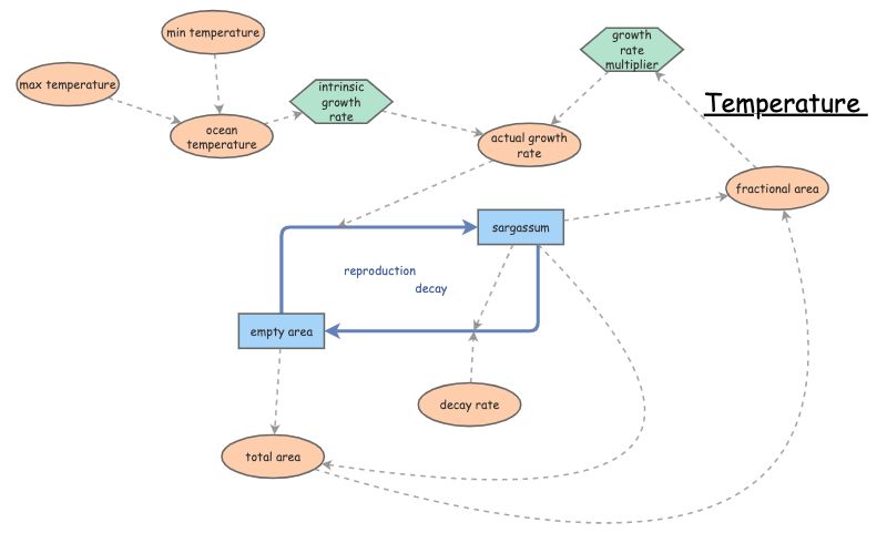 rough draft | Insight Maker