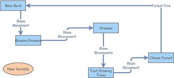 Climax Forest | Insight Maker