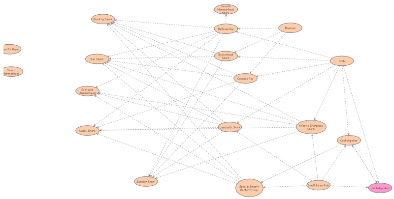Clone of Arizona Food Web | Insight Maker