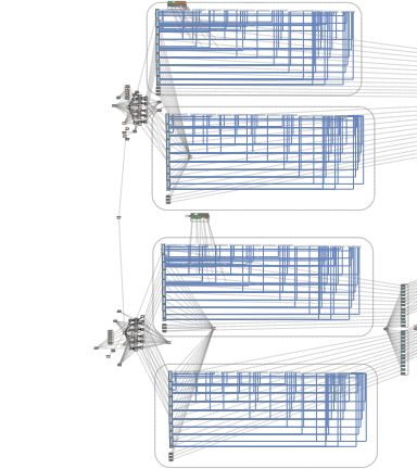 CE study, NASH DM | Insight Maker
