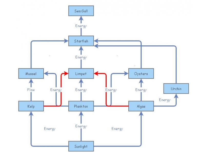 Bio 20 food web | Insight Maker
