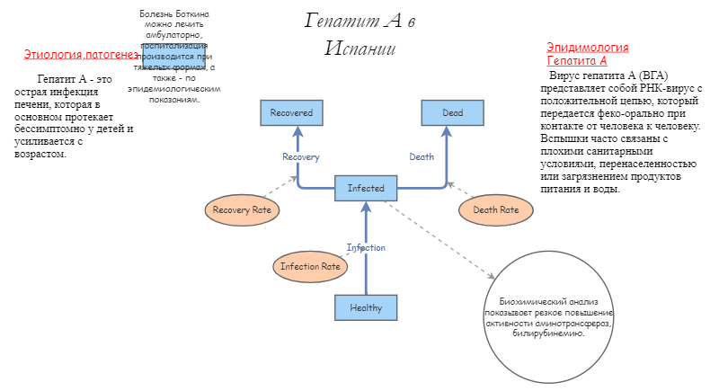 Hepatitis | Insight Maker