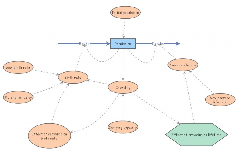 Population dynamic model | Insight Maker