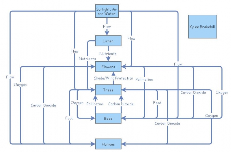 Clone of Lab 6: Biodiversity | Insight Maker