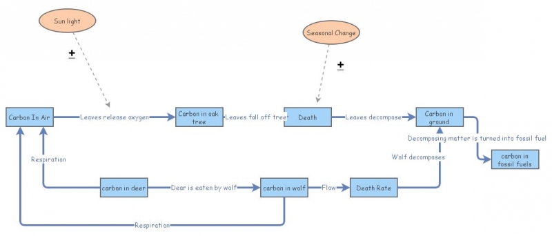 carbon cycle | Insight Maker