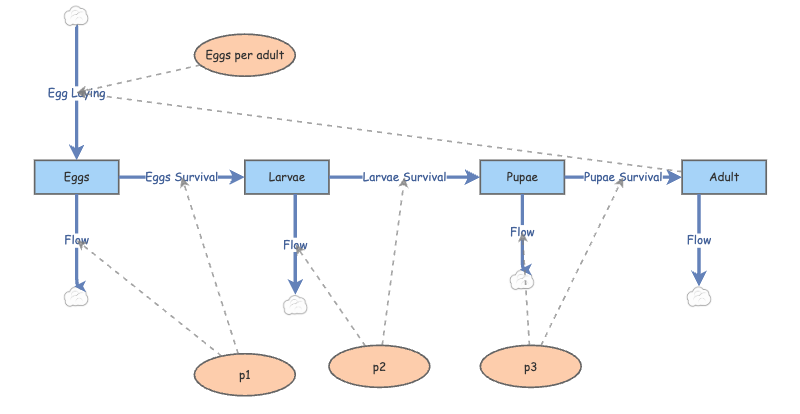 Leslie Model Popilation | Insight Maker