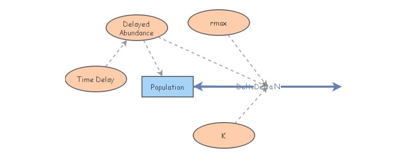 Lab 2 Exercise 4 - Delayed Density Dependence | Insight Maker