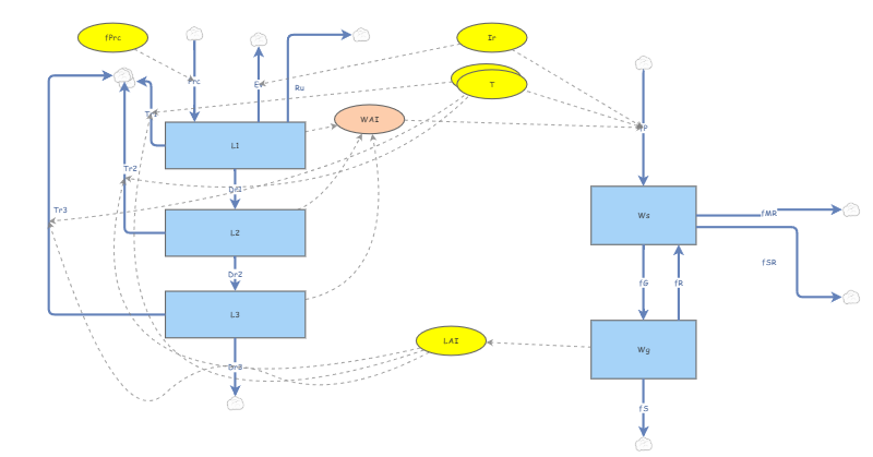 grass water | Insight Maker