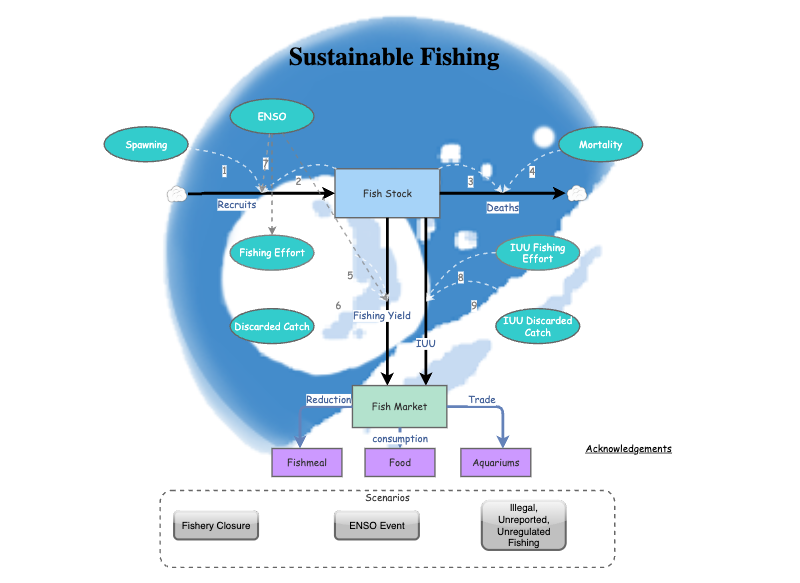 Clone of Clone of Stage 4 - Sustainable Fishing Model | Insight Maker