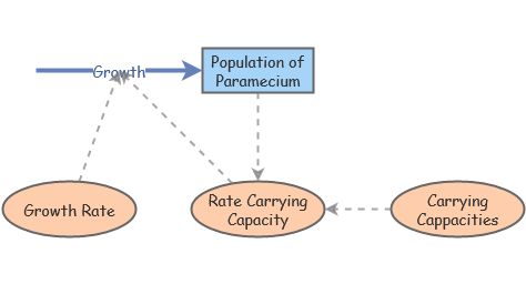 Paramecium Population | Insight Maker