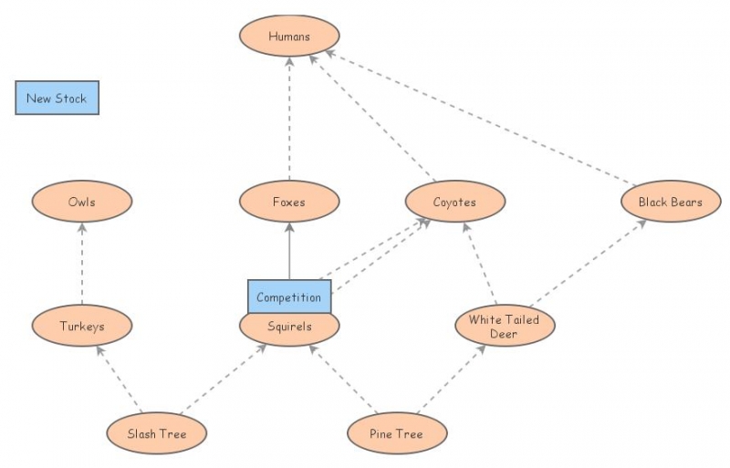 South Carolina Food Web | Insight Maker