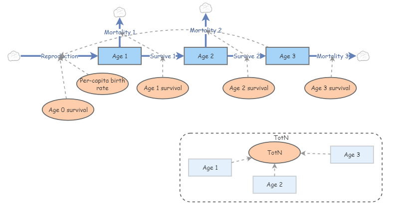 Age-structured model | Insight Maker
