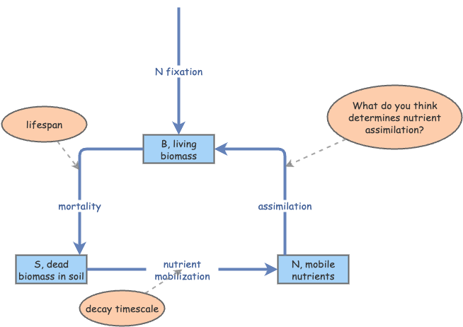 Clone of Terrestrial N cycle model template | Insight Maker