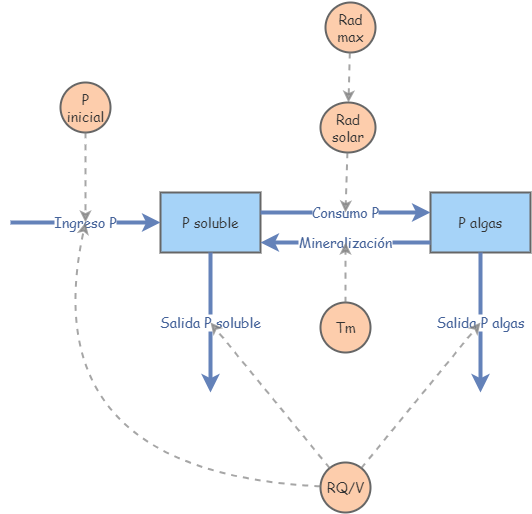 Ciclo del P | Insight Maker