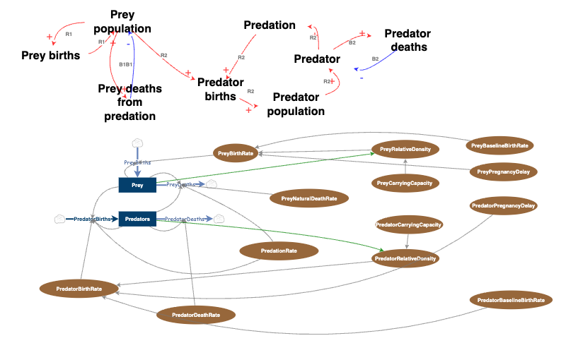 Clone of Clone of SCENARIO 3 - Replicating and Extending the Predator ...
