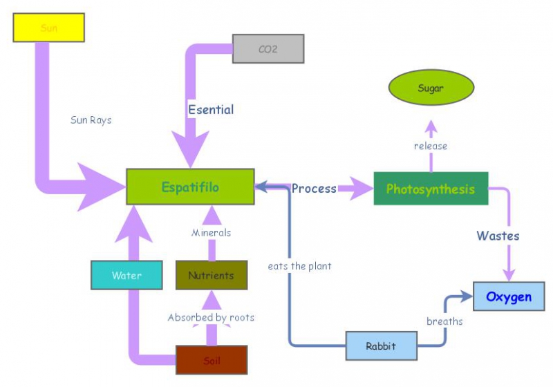 Plant system | Insight Maker