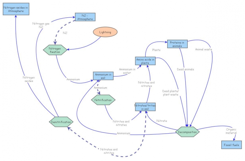 Clone of Nitrogen Cycle | Insight Maker