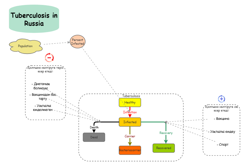 Tuberculosis in Russia | Agent model | Insight Maker