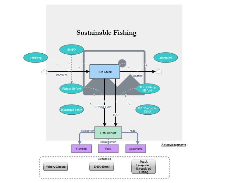 Clone of Clone of Stage 4 - Sustainable Fishing Model | Insight Maker