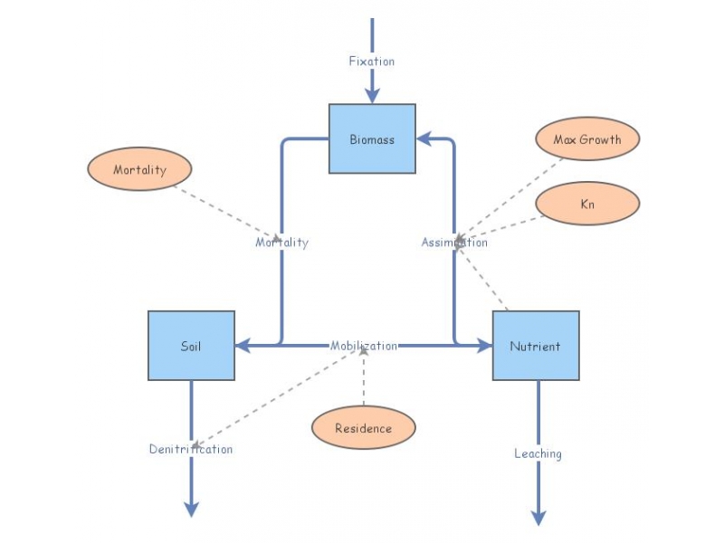 N Cycle | Insight Maker