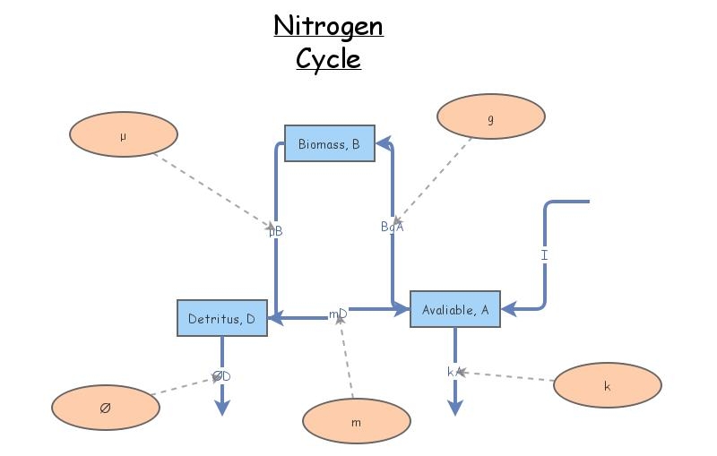 Clone of Nitrogen Cycle | Insight Maker