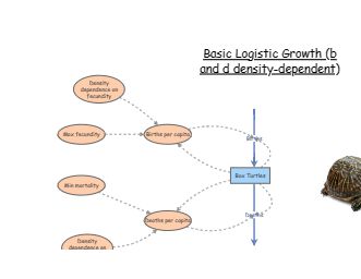Clone of Logistic Growth 1 | Insight Maker