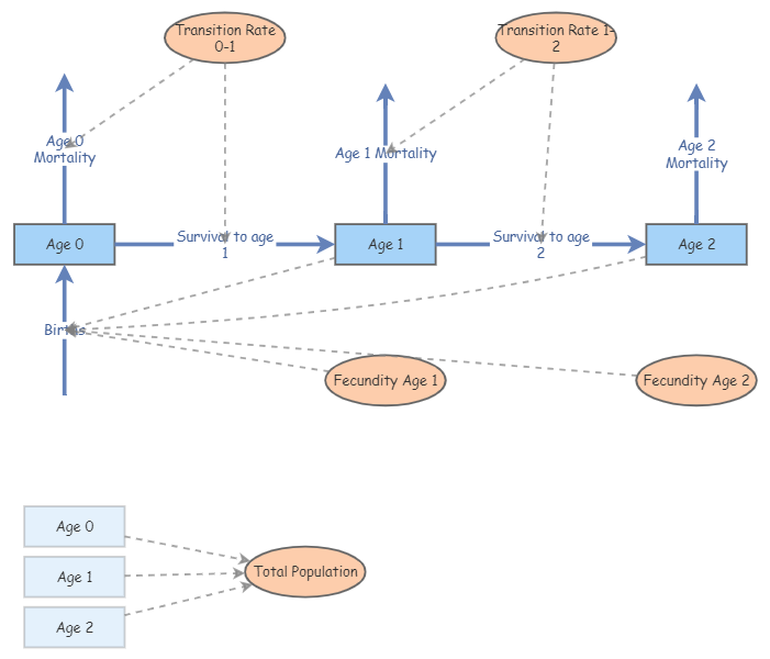 Age Structured Population | Insight Maker