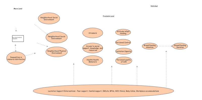 Clone of Skye_Conceptual Model_Short_4.10.25 | Insight Maker