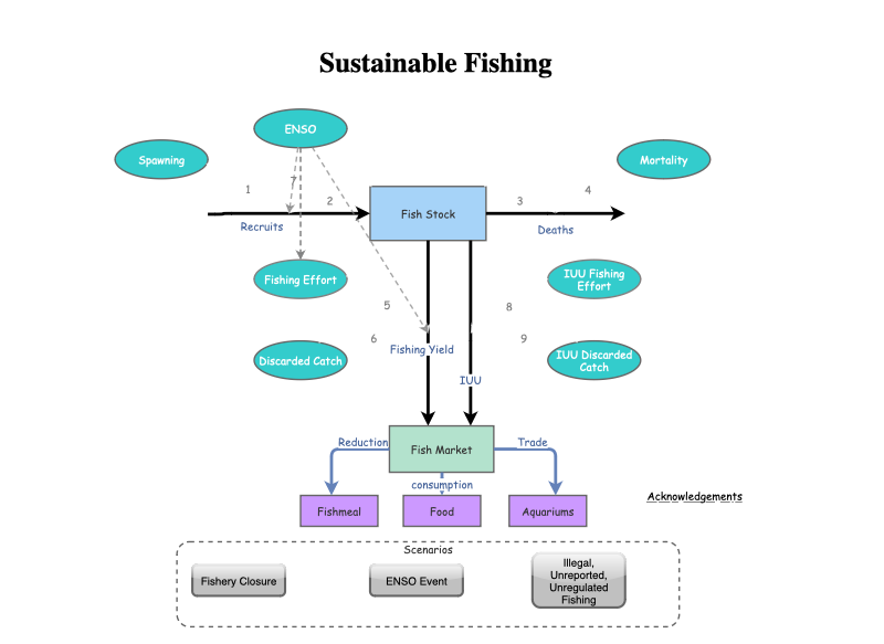 Clone of Clone of Stage 4 - Sustainable Fishing Model | Insight Maker