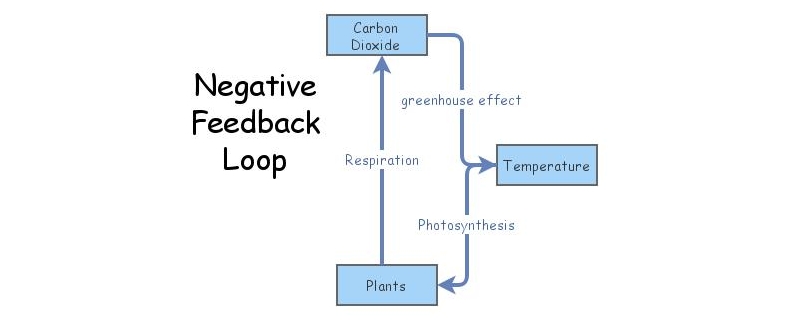 Clone of Negative Feedback Loop | Insight Maker