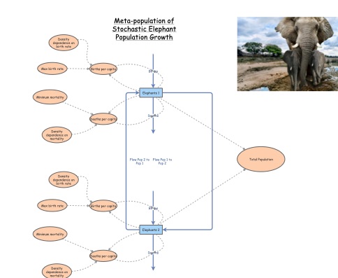 Clone of Metapopulation of Elephant population growth with stochasticity | Insight Maker