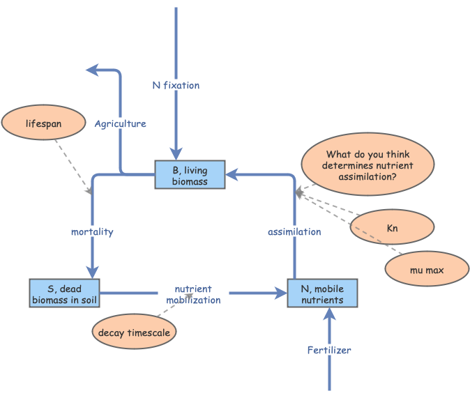 Clone of Terrestrial N cycle model template | Insight Maker
