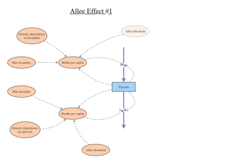 Allee effect 1 | Insight Maker