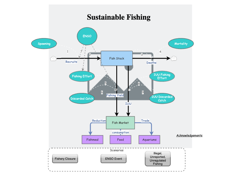 Clone of Clone of Stage 4 - Sustainable Fishing Model | Insight Maker