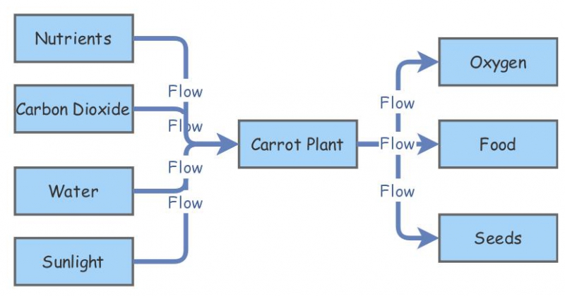 Carrot Plant System | Insight Maker