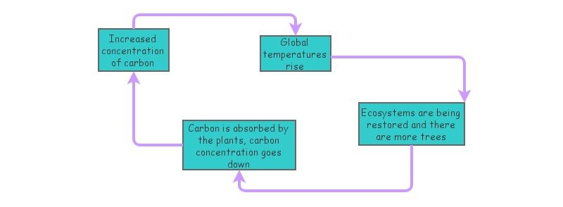 restore ecosystems feedback loop | Insight Maker