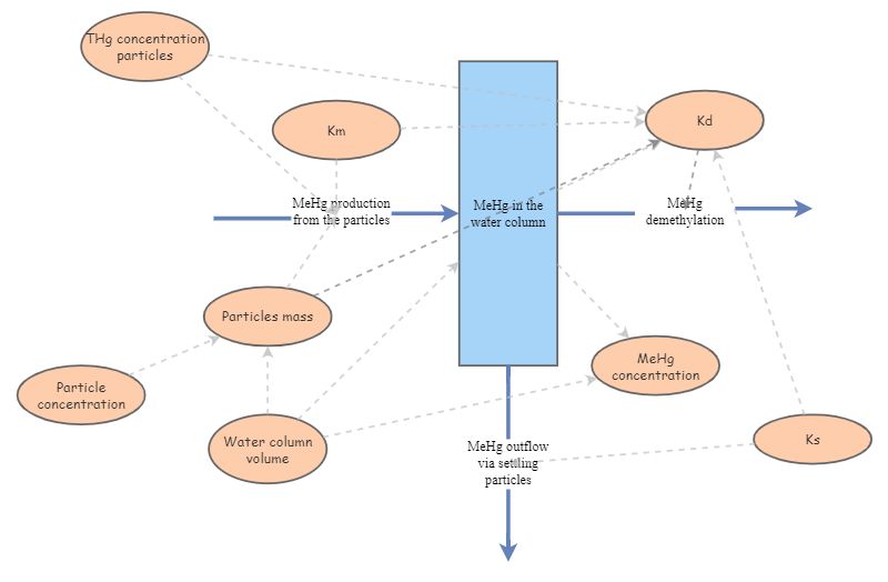 Maj MeHg Steady-state model | Insight Maker