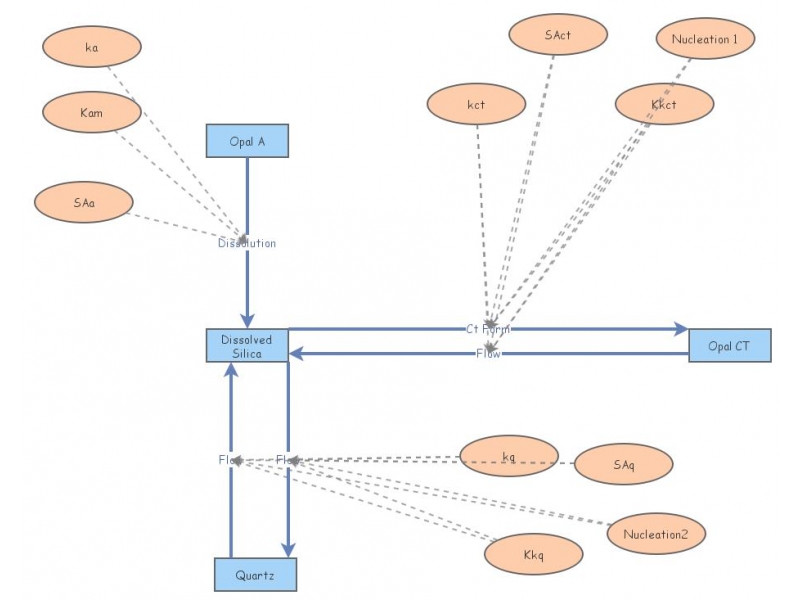 Diatom lab | Insight Maker