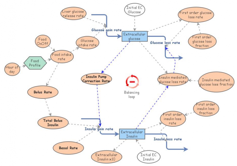 Glucose-Insulin Model in Type 1 Diabetes | Insight Maker