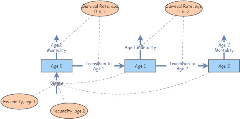 Exercise 2 Dr Age Structured Models 11 6 22 Insight Maker