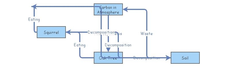 Oak Tree | Insight Maker