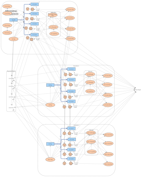 Clone of Plant Breeding Simulation | Insight Maker