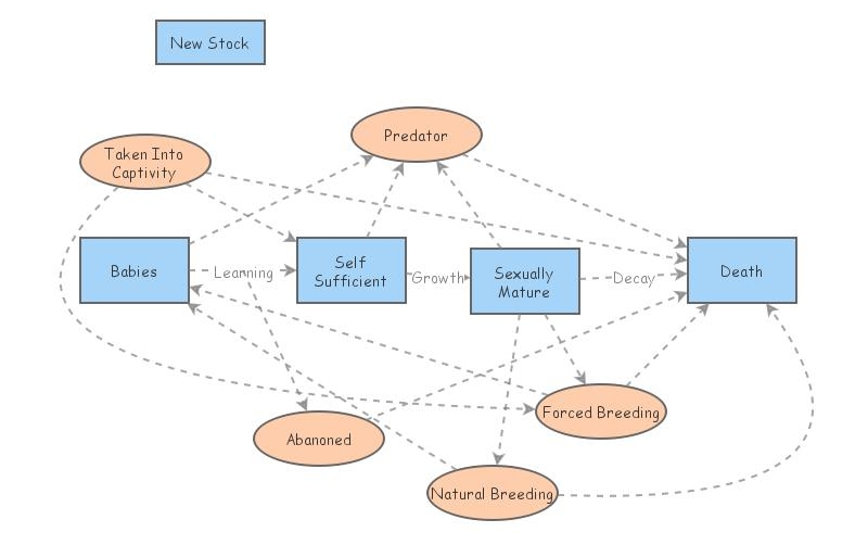 Rabbits | Insight Maker