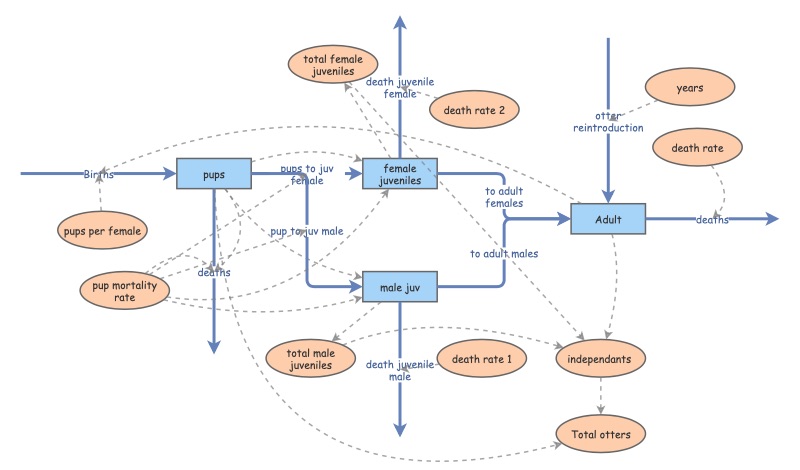 Clone of otter population model | Insight Maker