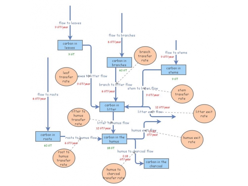Forest Carbon Model | Insight Maker