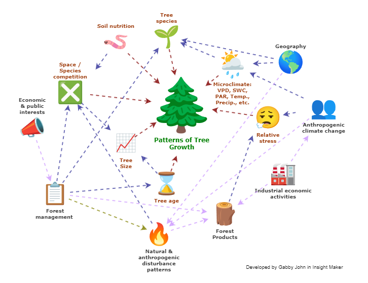 Research Map | Insight Maker
