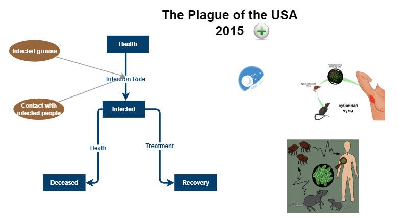 Independent work | Insight Maker