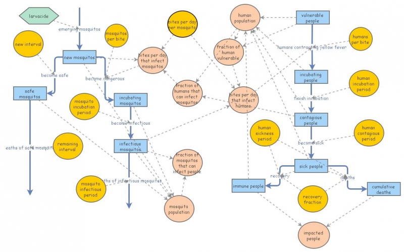yellow-fever-human-full_11 | Insight Maker
