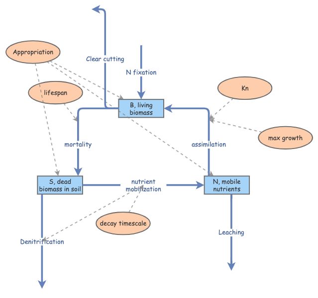 N cycle model template (midterm) | Insight Maker