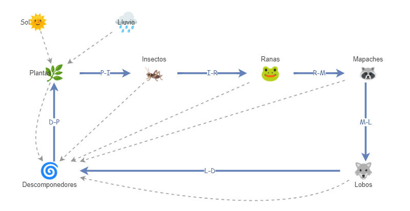 Cadena alimentaria simple - Clone | Insight Maker
